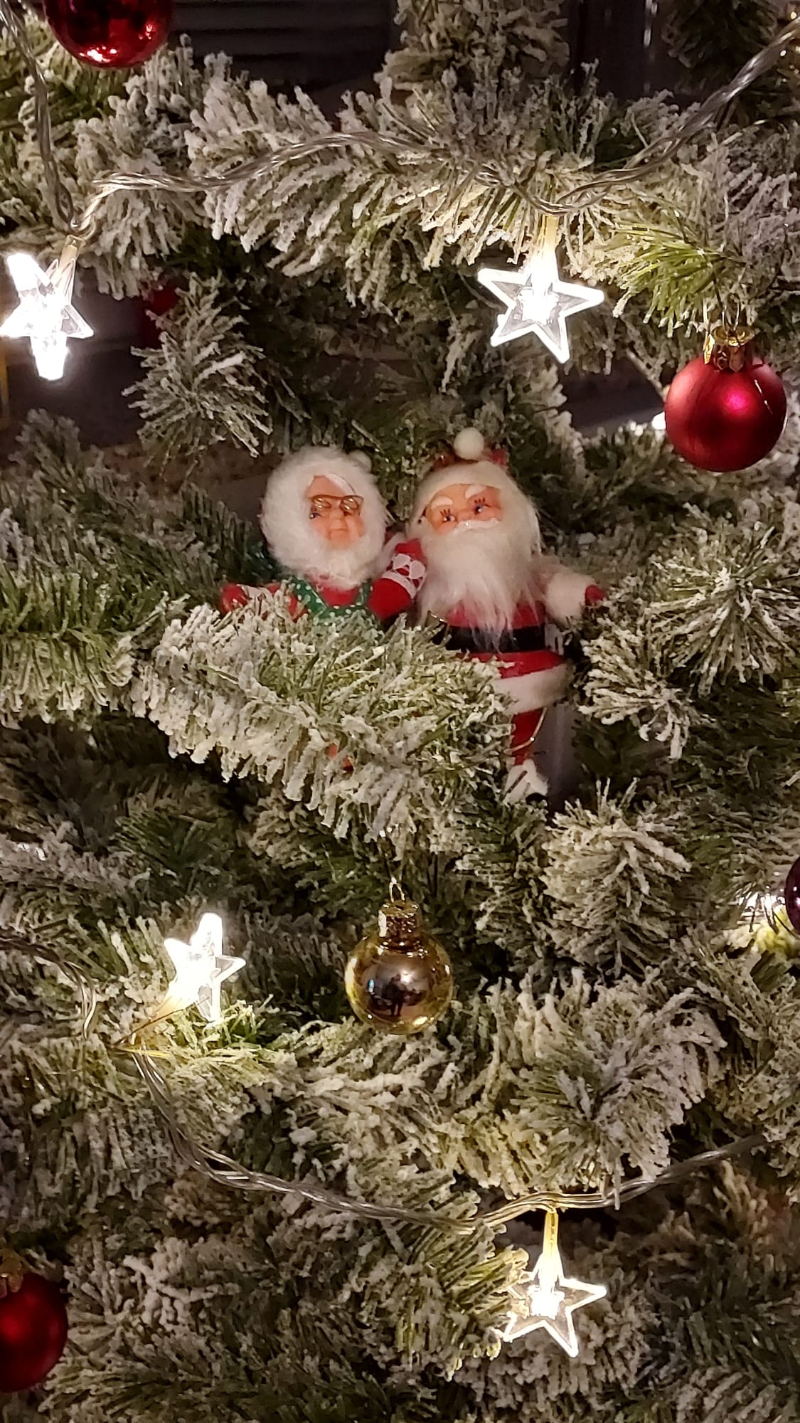 Blogi – TTC-Charter